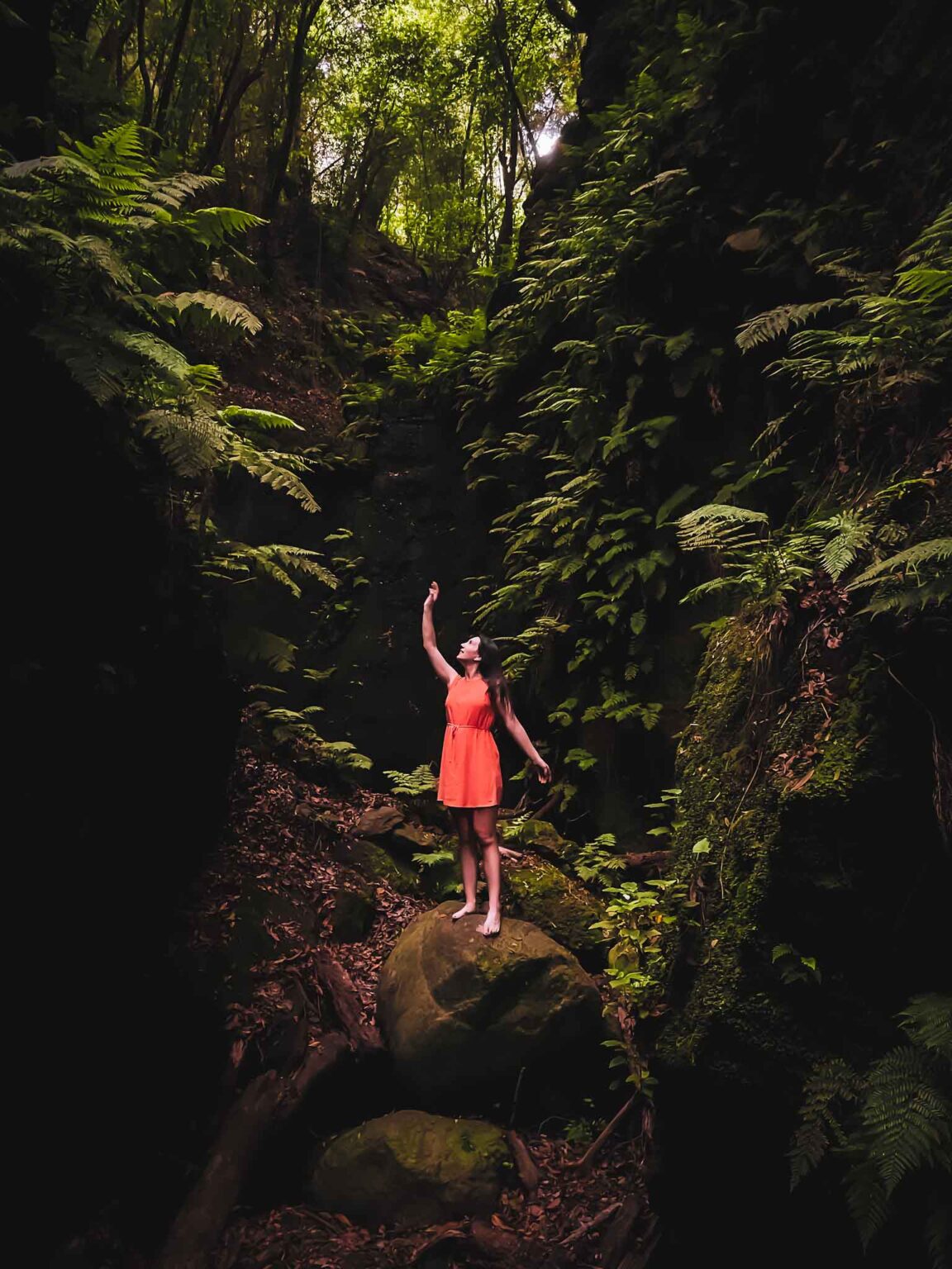 Ultimate guide: 23+ best things to do and see in La Palma island