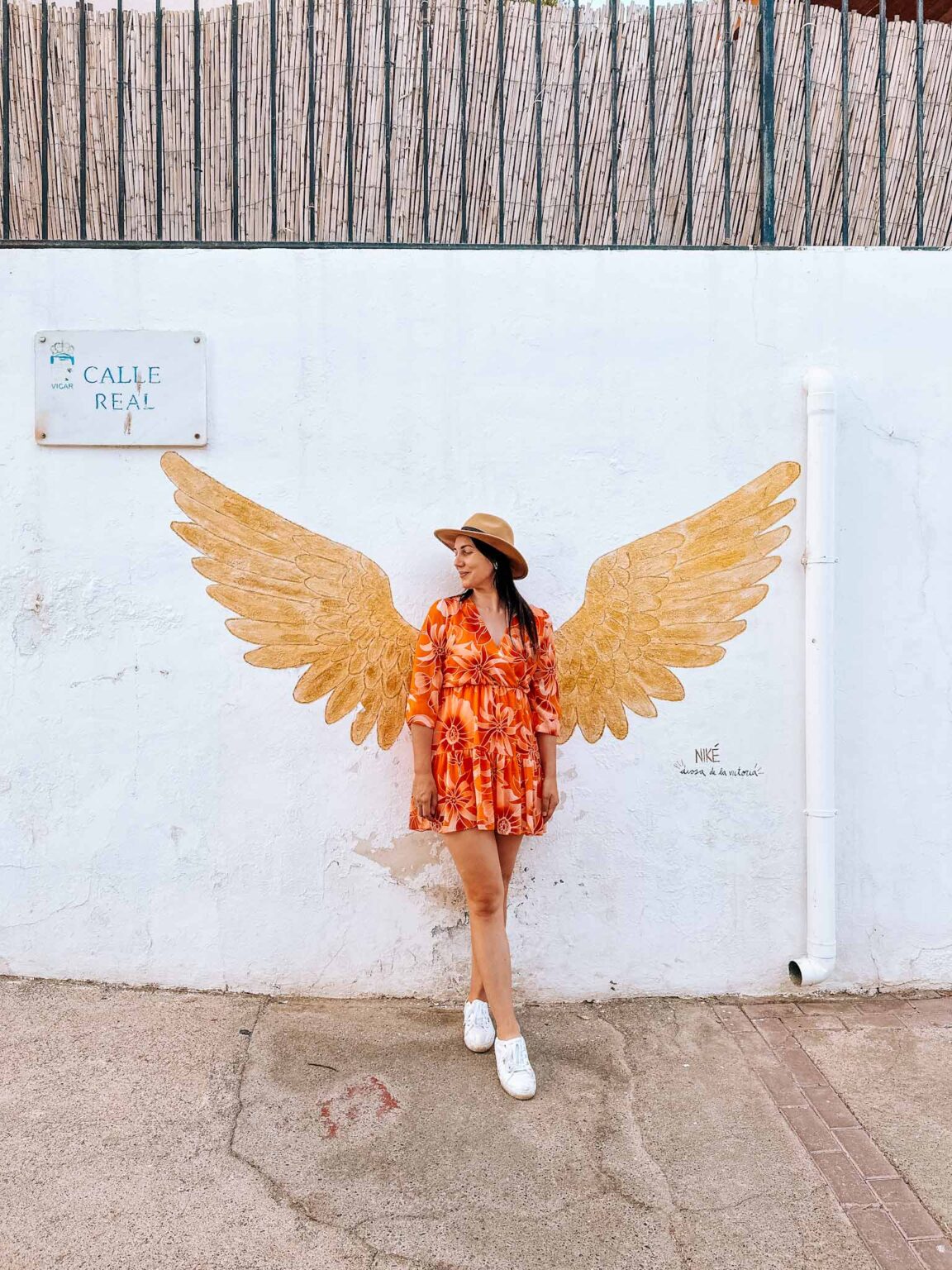 Vícar: 11 things to do in Andalusia's most colorful village