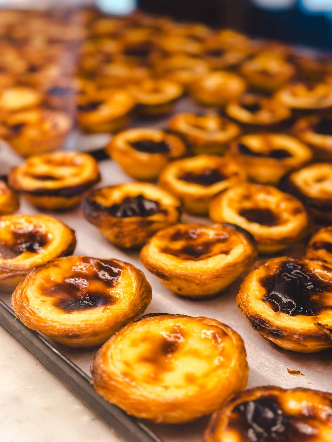 11 best pastel de nata spots in Lisbon (I tried them all!)