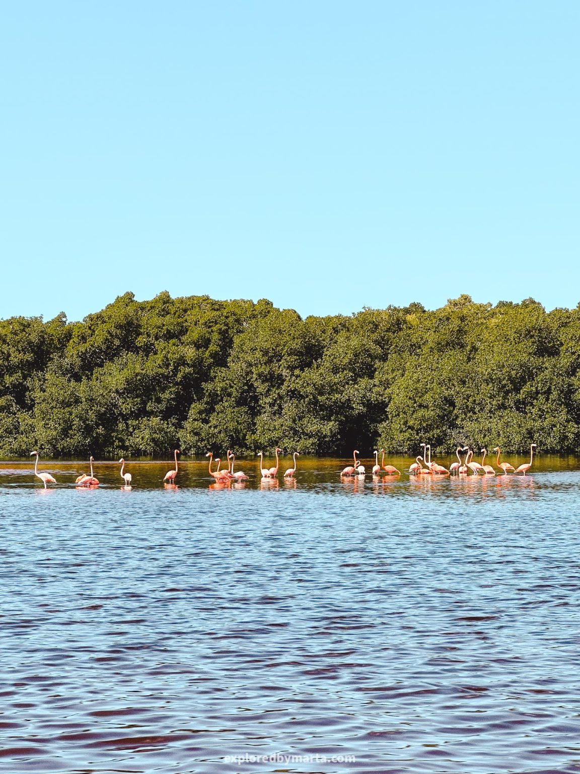 15 best day trips from Merida, Mexico