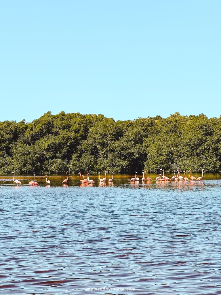 15 best day trips from Merida, Mexico