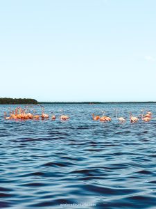 15 best day trips from Merida, Mexico