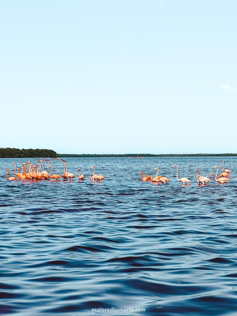 15 best day trips from Merida, Mexico