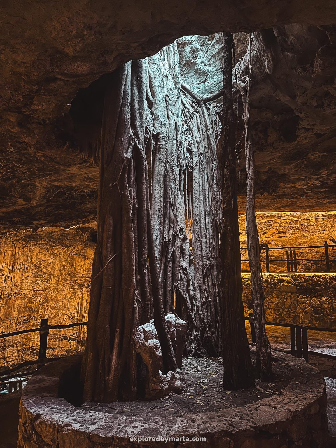 Ring of Cenotes: 15 beautiful cenotes near Merida, Mexico