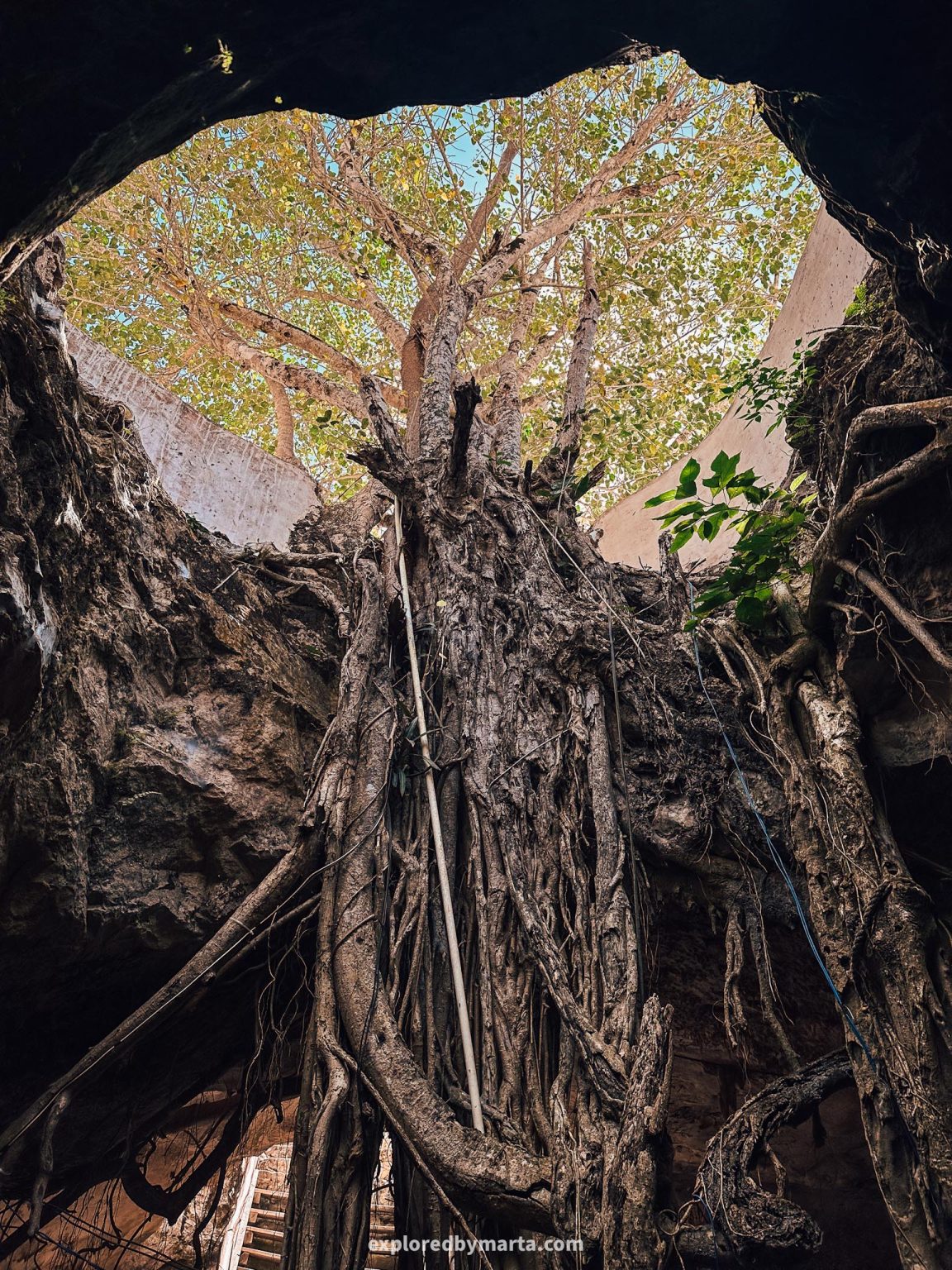 Ring of Cenotes: 15 beautiful cenotes near Merida, Mexico