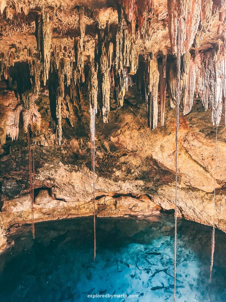Ring of Cenotes: 15 beautiful cenotes near Merida, Mexico