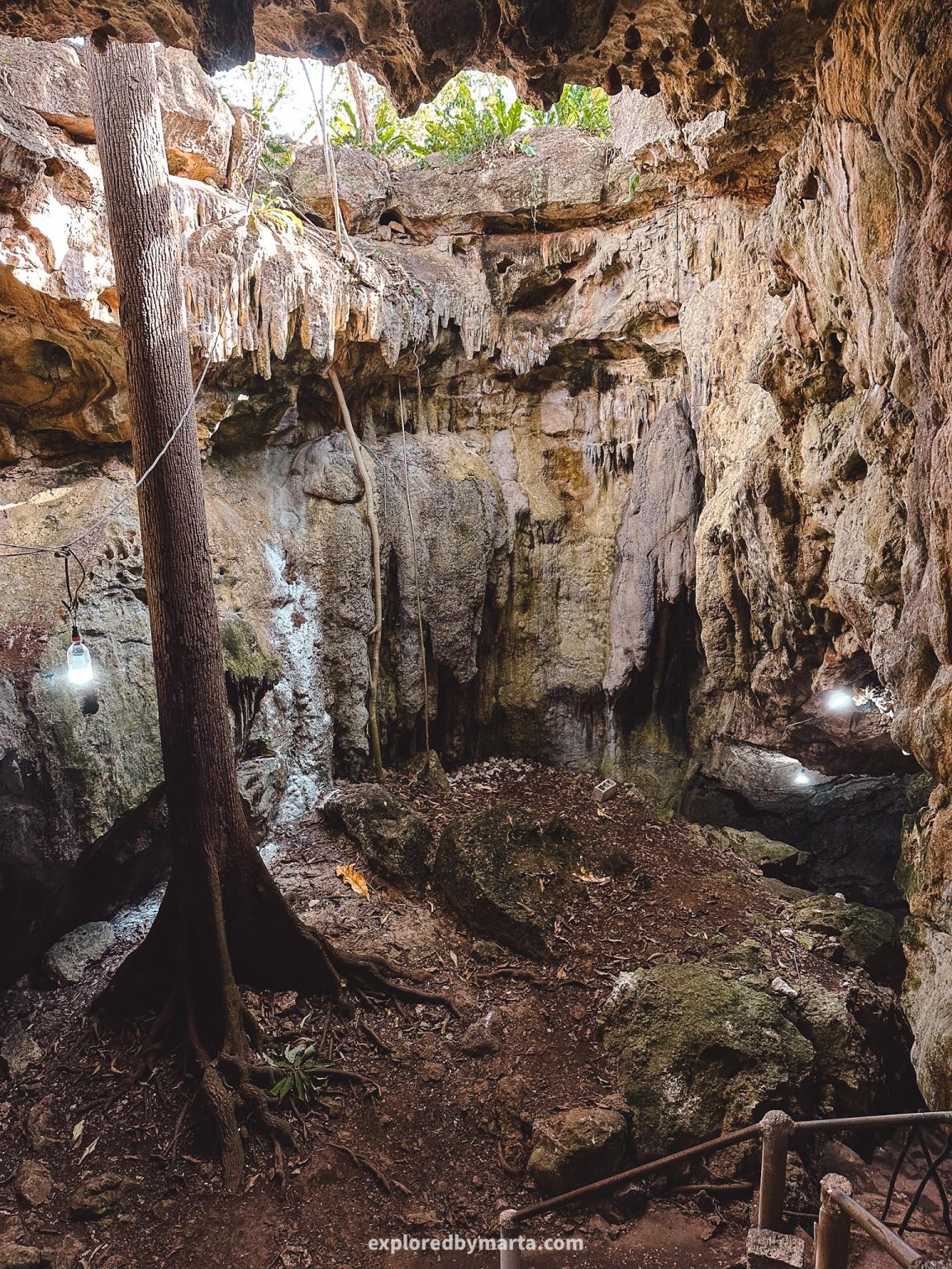 Ring of Cenotes: 15 beautiful cenotes near Merida, Mexico