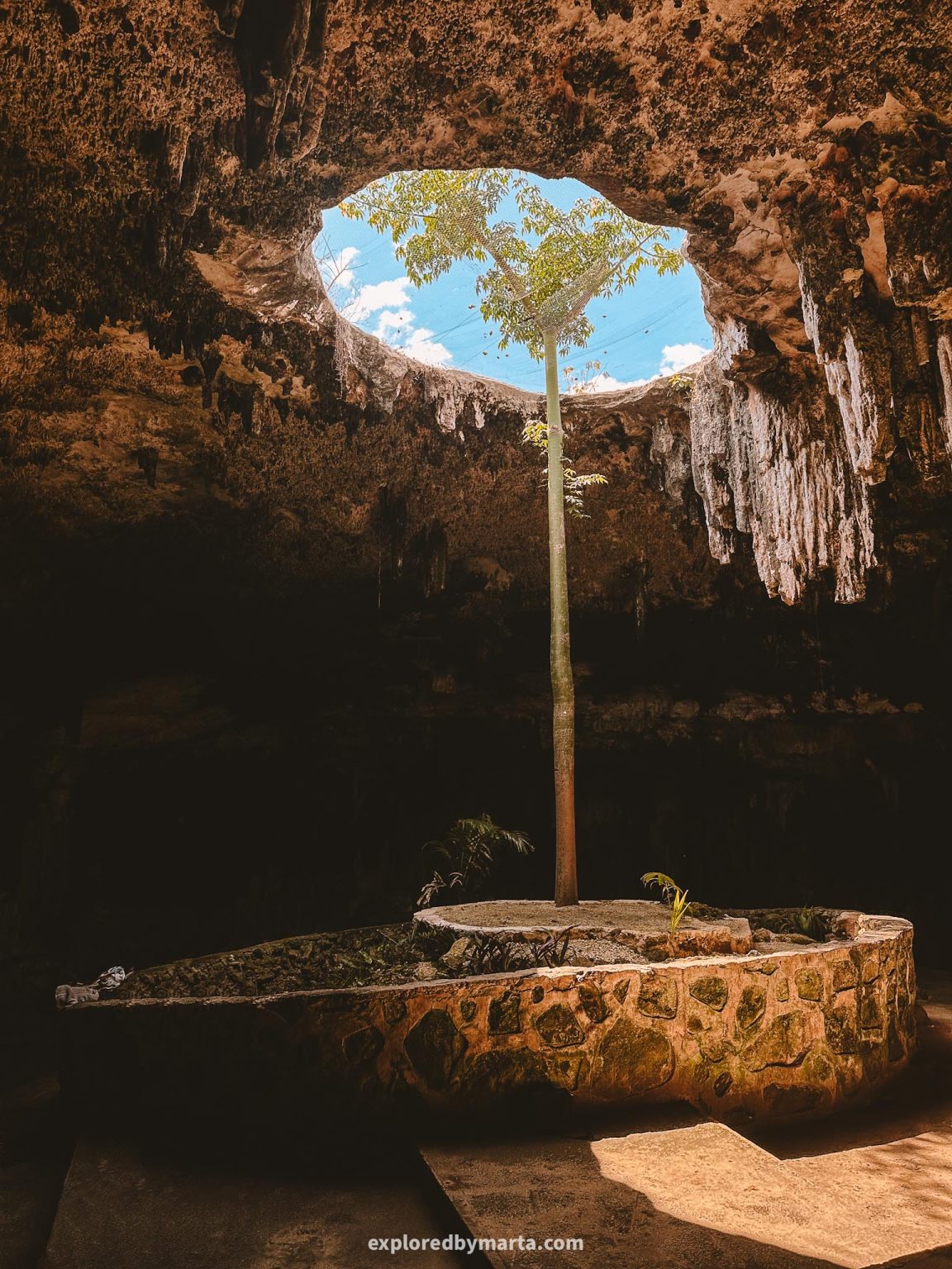 Ring of Cenotes: 15 beautiful cenotes near Merida, Mexico
