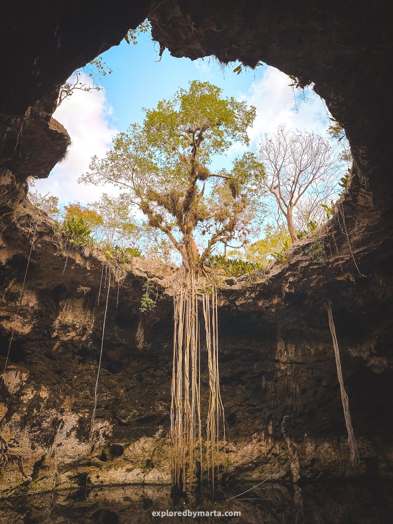 20 most gorgeous cenotes in Yucatan Peninsula, Mexico