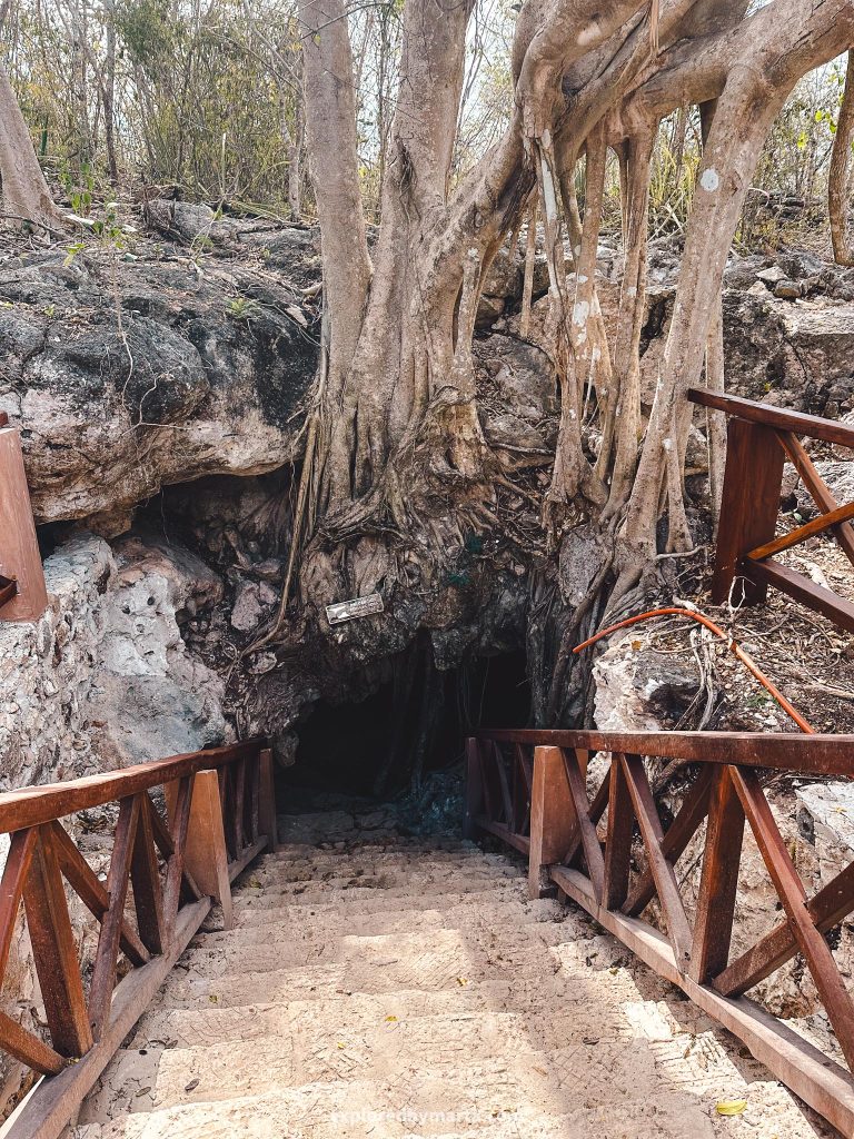 Ring of Cenotes: 15 beautiful cenotes near Merida, Mexico