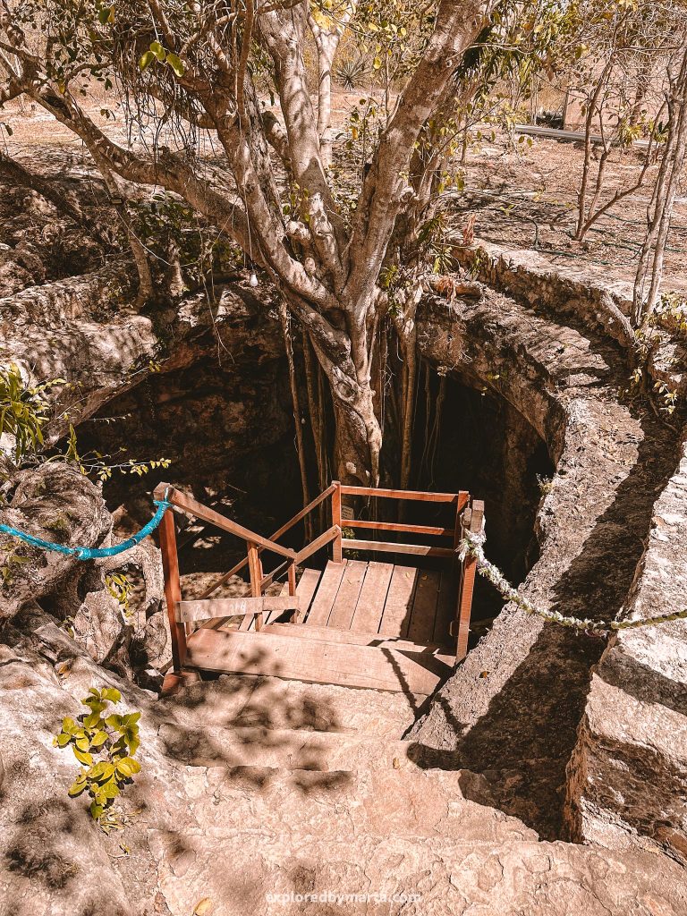 Ring of Cenotes: 15 beautiful cenotes near Merida, Mexico