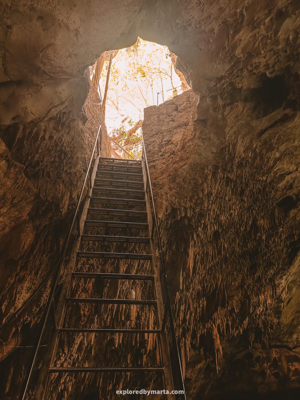 Ring of Cenotes: 15 beautiful cenotes near Merida, Mexico