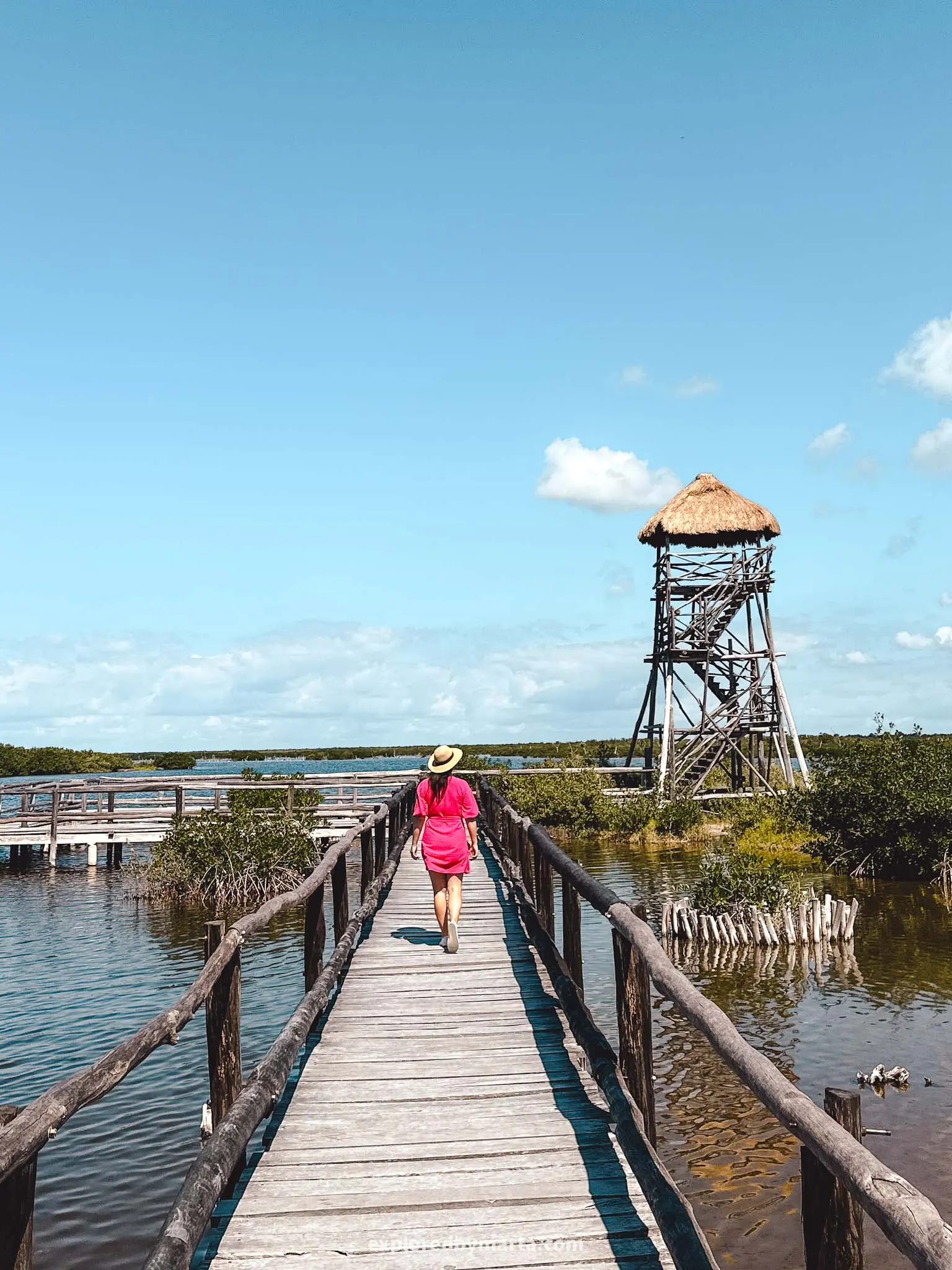 Cozumel Eco Park Cruise Ship Excursions: Punta Sur Eco Beach Park In