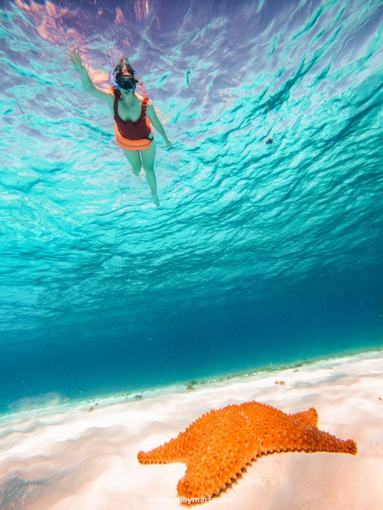 Cozumel itinerary: 15 top things to do in Cozumel, Mexico
