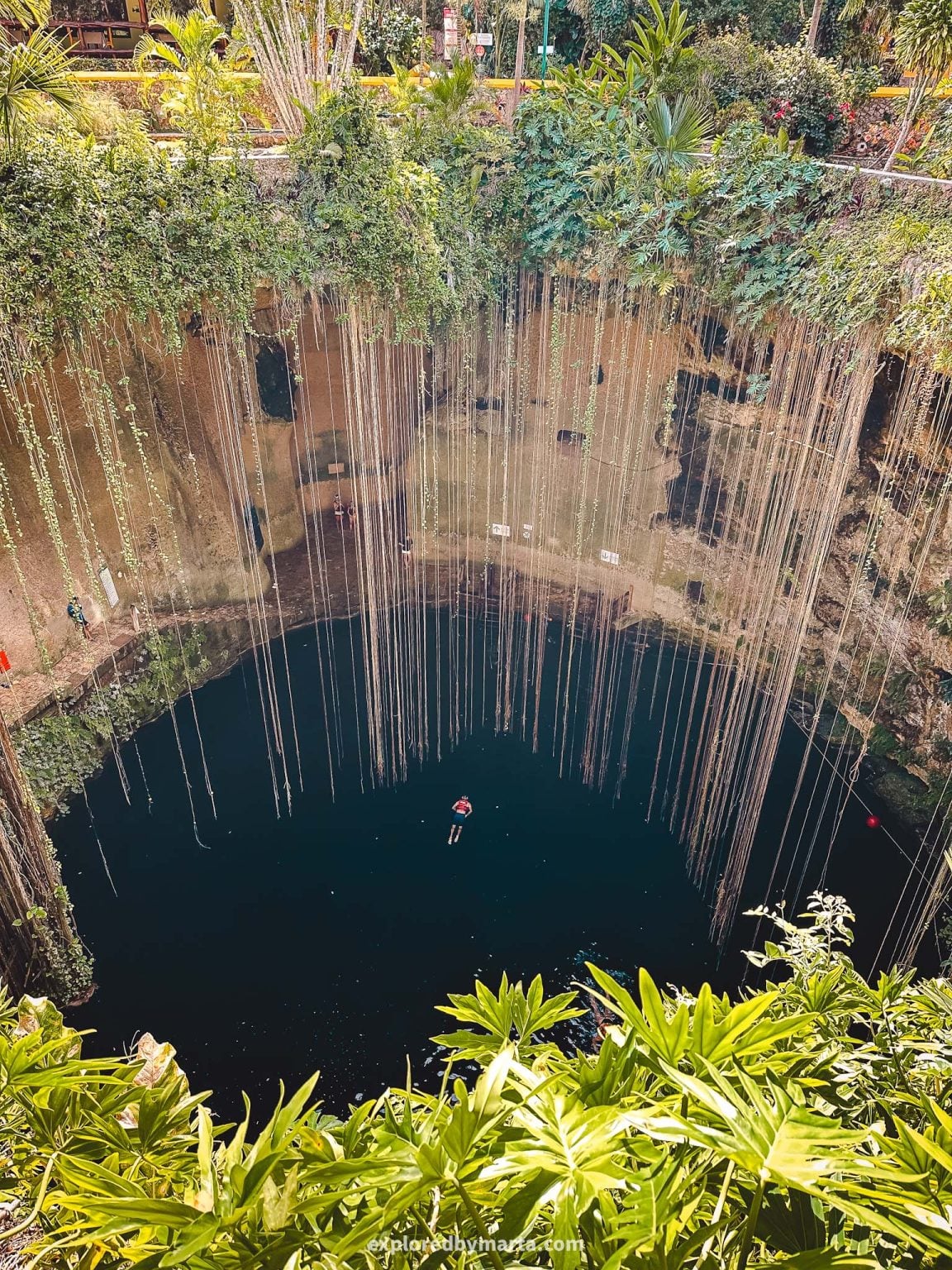 20 most gorgeous cenotes in Yucatan Peninsula, Mexico