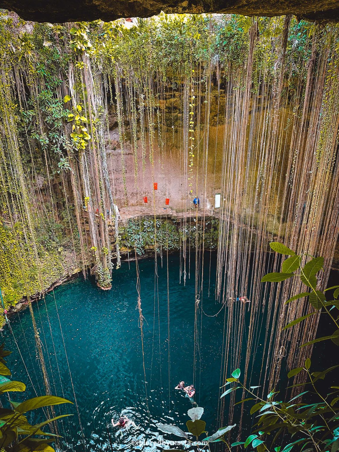 20 most gorgeous cenotes in Yucatan Peninsula, Mexico