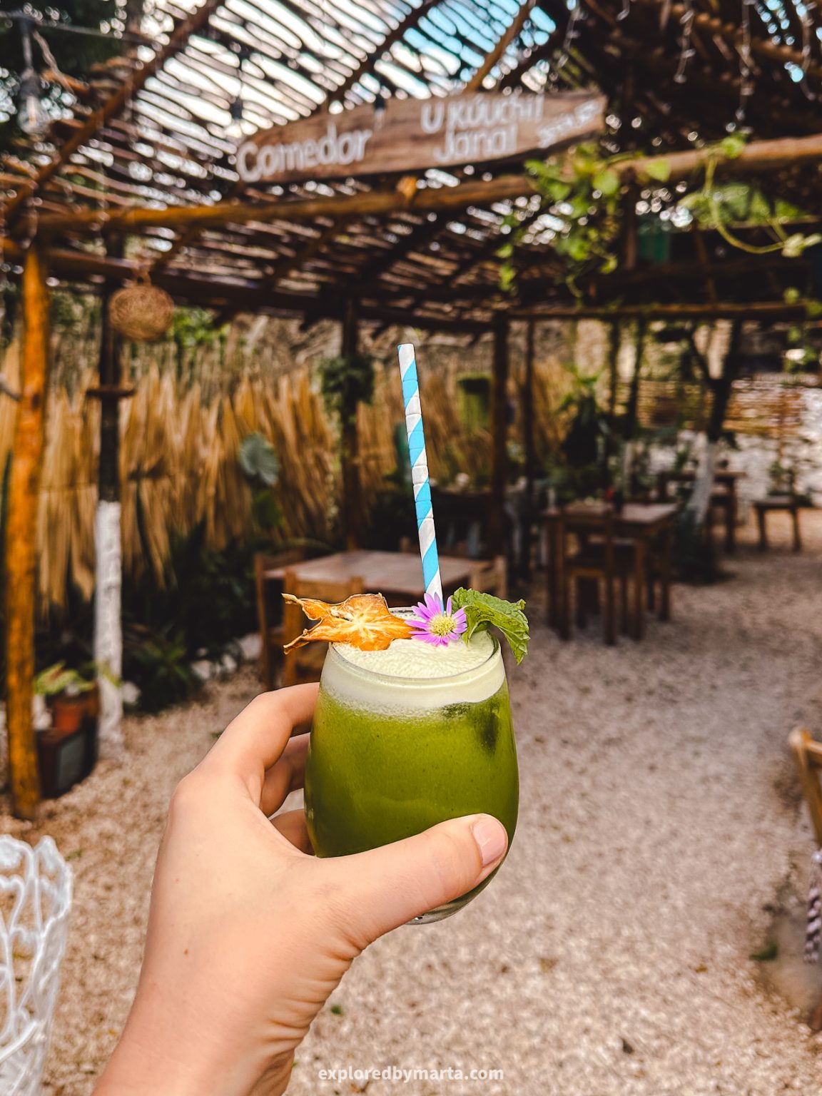 15 must-try traditional foods in the Yucatan Peninsula, Mexico