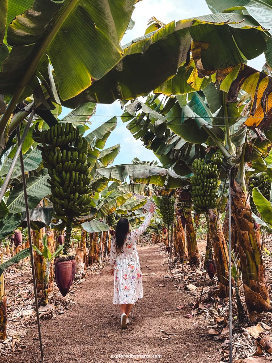 33 ultimate best places to visit in Gran Canaria, Spain