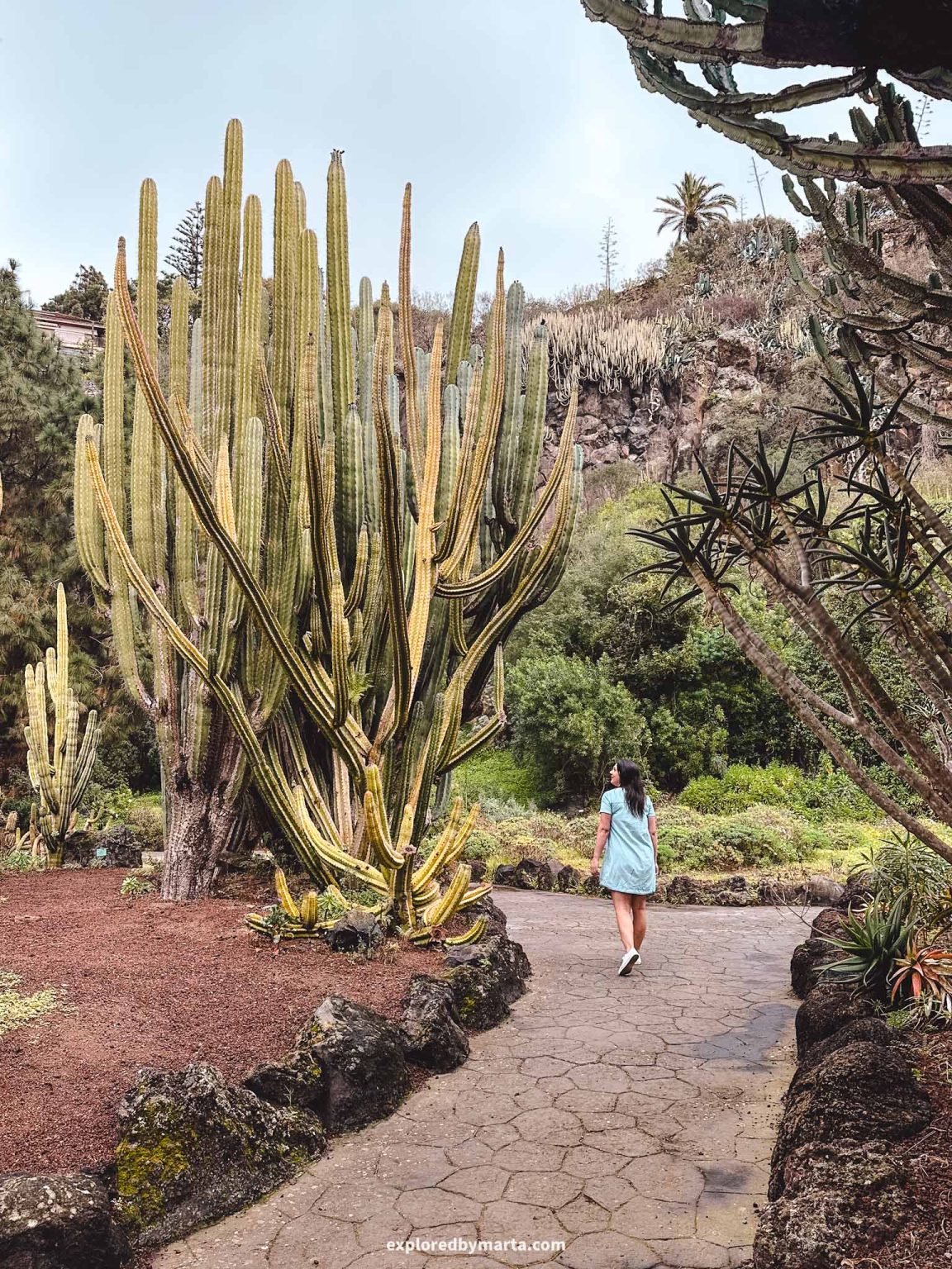 Secrets of the Island: 20 hidden gems in Gran Canaria, Spain