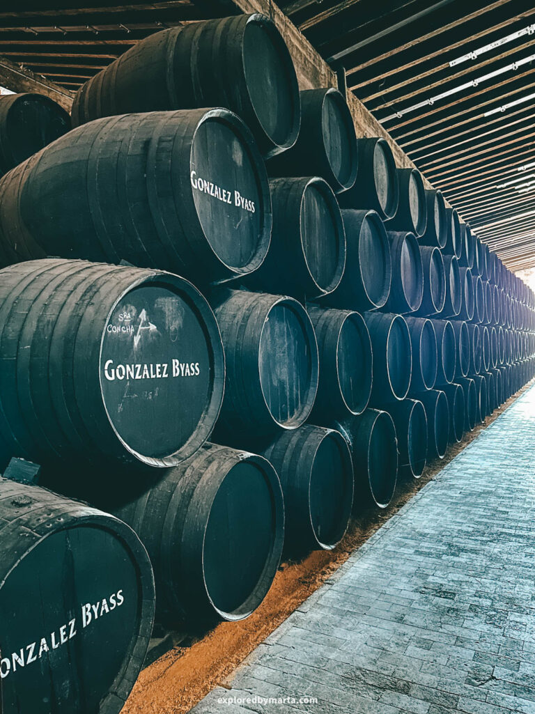 10 best things to do in Jerez de la Frontera, Spain